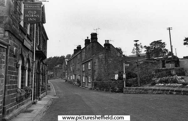 Searching Picture Sheffield