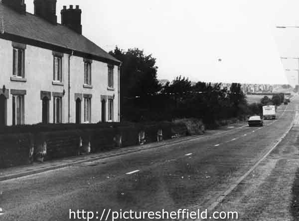 Searching Picture Sheffield