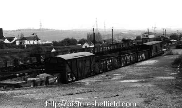 Searching Picture Sheffield