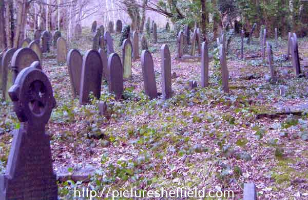 Print details Picture Sheffield