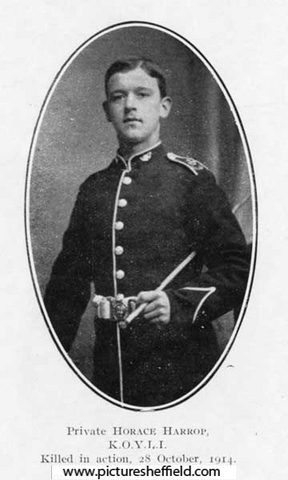 Searching Picture Sheffield