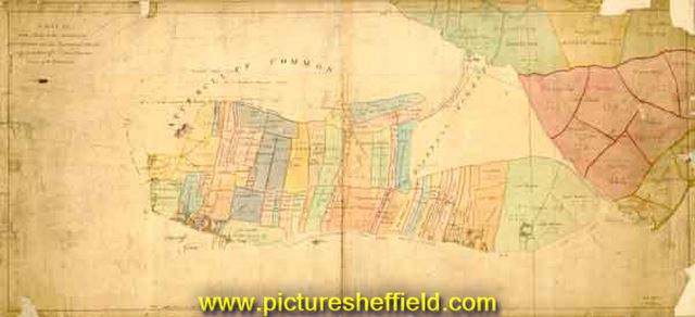 Searching Picture Sheffield