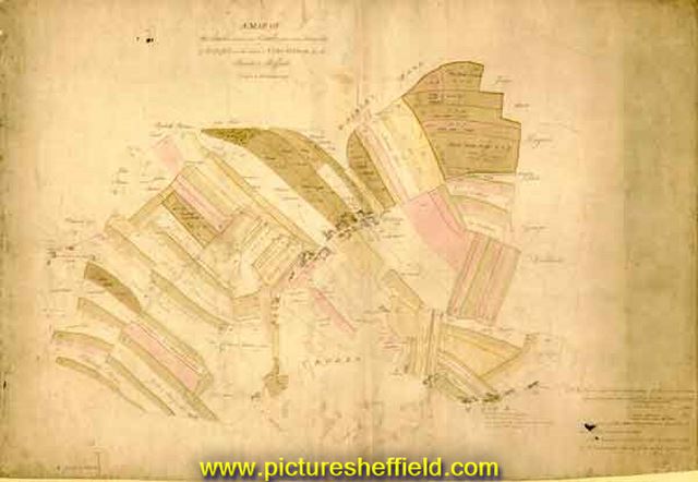 Searching Picture Sheffield