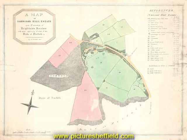 Searching Picture Sheffield