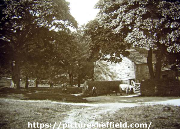 Searching Picture Sheffield