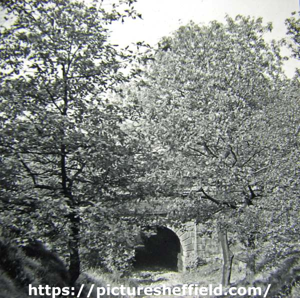 Searching Picture Sheffield