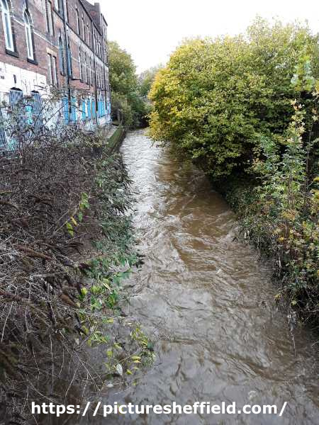 Searching Picture Sheffield