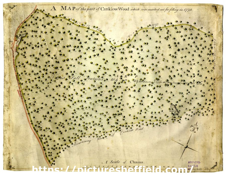 Searching Picture Sheffield