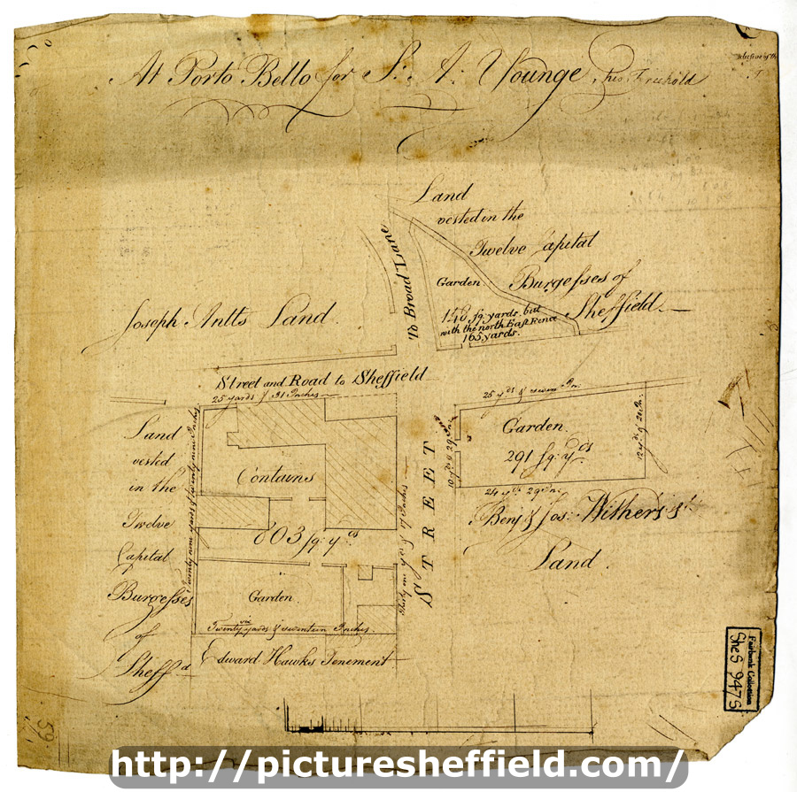 Searching Picture Sheffield