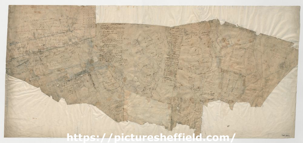 Searching Picture Sheffield