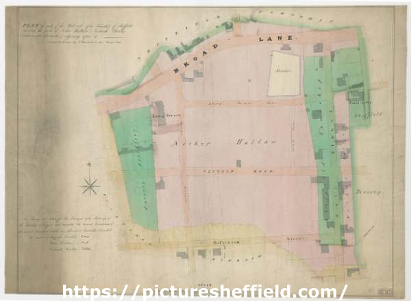 Searching Picture Sheffield