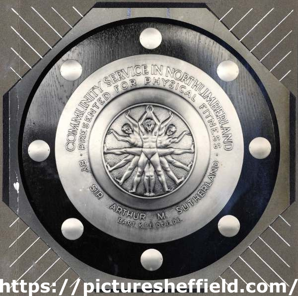 Searching Picture Sheffield