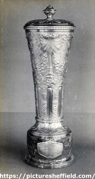 Searching Picture Sheffield