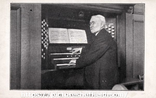 Searching Picture Sheffield