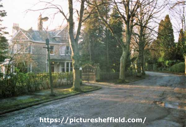 Searching Picture Sheffield