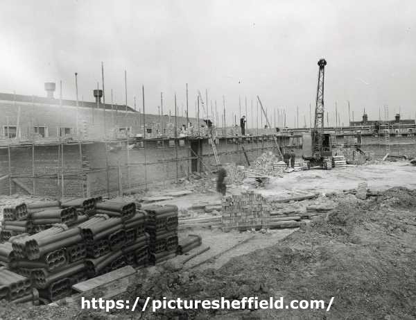 Searching Picture Sheffield