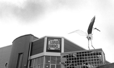 Searching Picture Sheffield