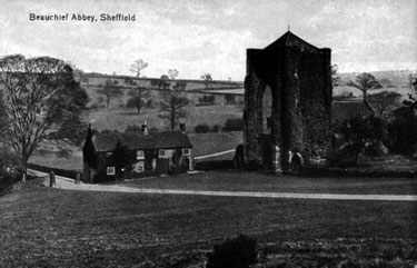 Searching Picture Sheffield