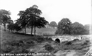 Searching Picture Sheffield