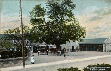 Searching Picture Sheffield