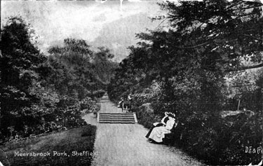 Searching Picture Sheffield