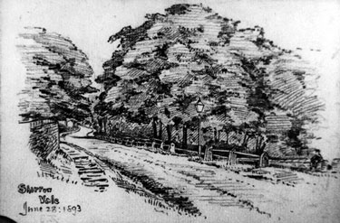 Searching Picture Sheffield