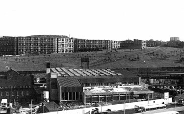 Searching Picture Sheffield