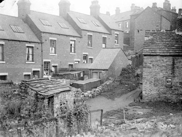 Searching Picture Sheffield