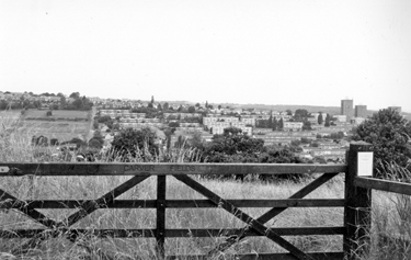 Searching Picture Sheffield