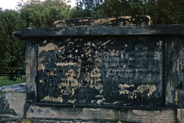 Searching Picture Sheffield