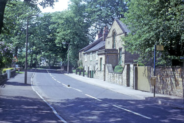 Searching Picture Sheffield