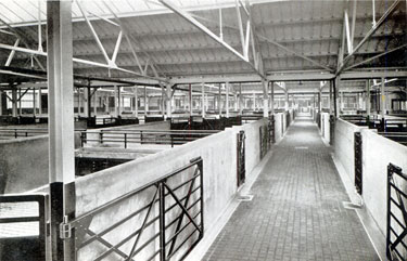 Searching Picture Sheffield