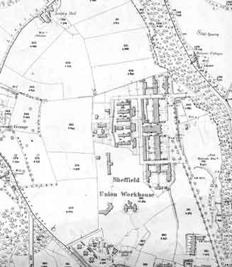 Searching Picture Sheffield