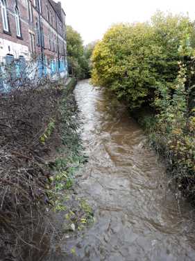 Searching Picture Sheffield