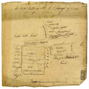 Searching Picture Sheffield