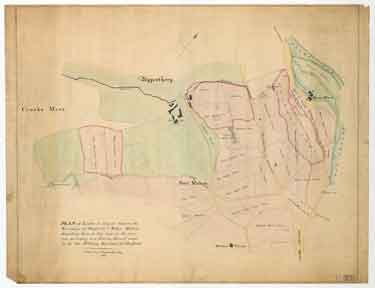 Searching Picture Sheffield